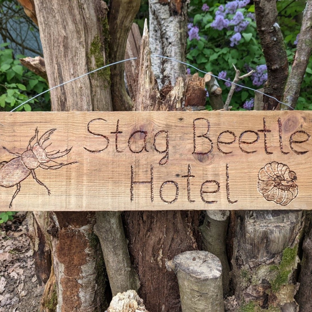 Hurst Green Infant School - Help us win £500!